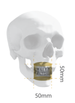 Green X | Vatech Brasil